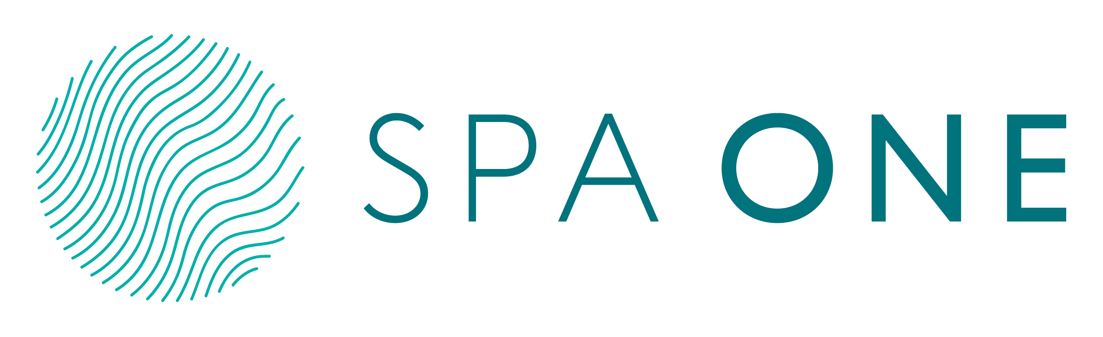 Project Page - SPA One